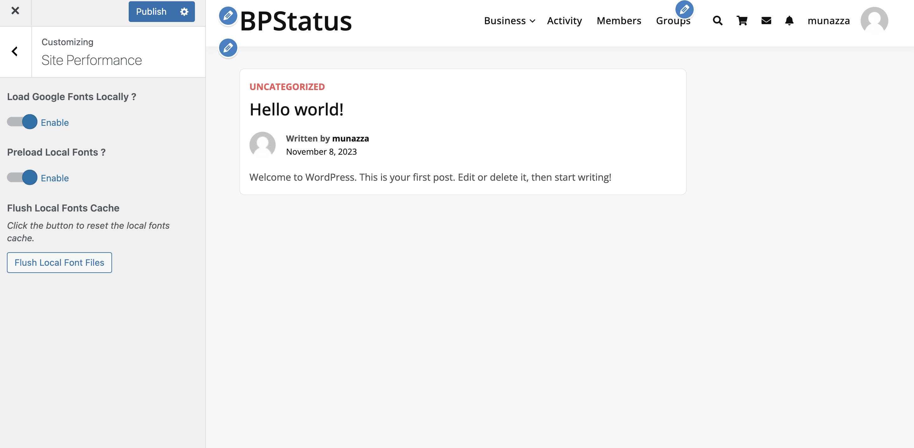 Site Performance - Wbcom Designs Docs